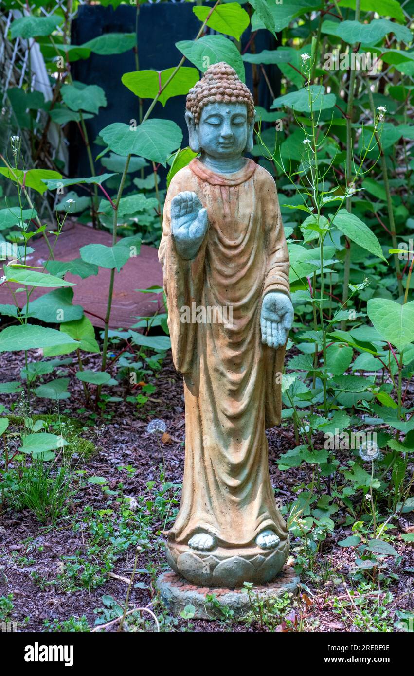 Oriental standing Buddha statue adds calm to a pretty garden Stock ...