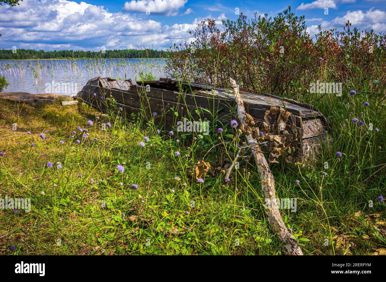 Old wrecked and upside down wooden boat in idyllic atmosphere at Lake ...