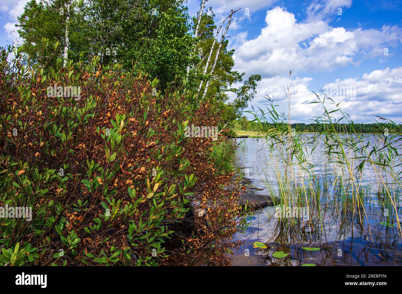 Picturesque idyll at Lake Tunasjön, Vimmerby, Smaland, Kalmar county ...