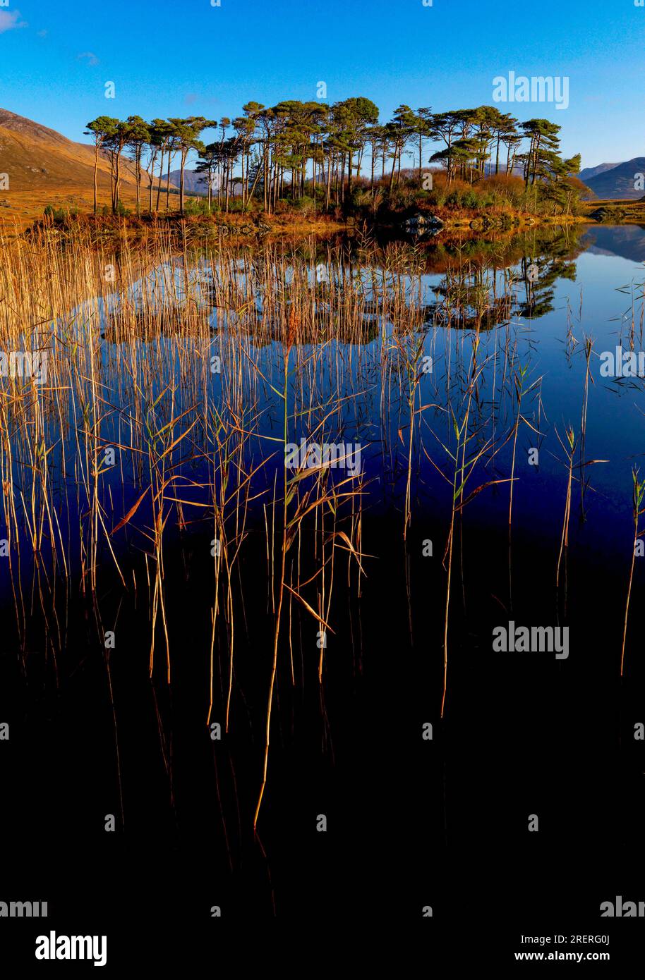 Pine island on derryclare lake hi-res stock photography and images - Alamy