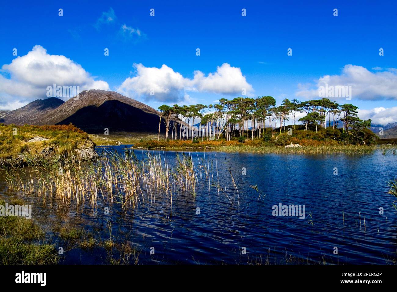 Pine island on derryclare lake hi-res stock photography and images - Alamy