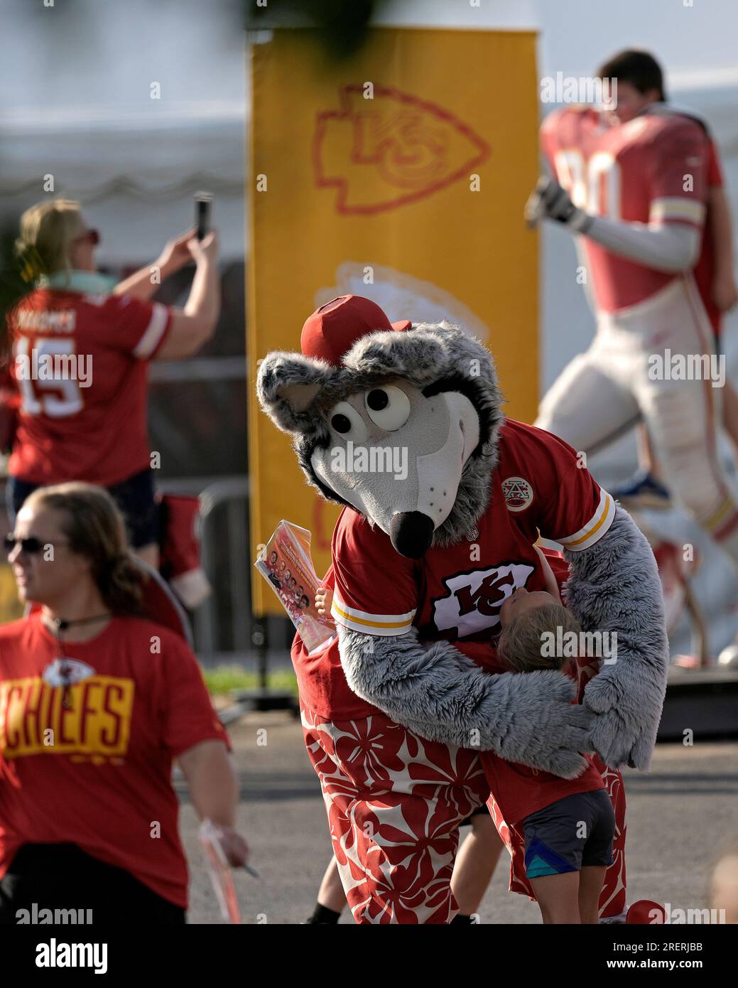 Kansas City Chiefs mascot KC Wolf hugs a young fan during NFL football ...