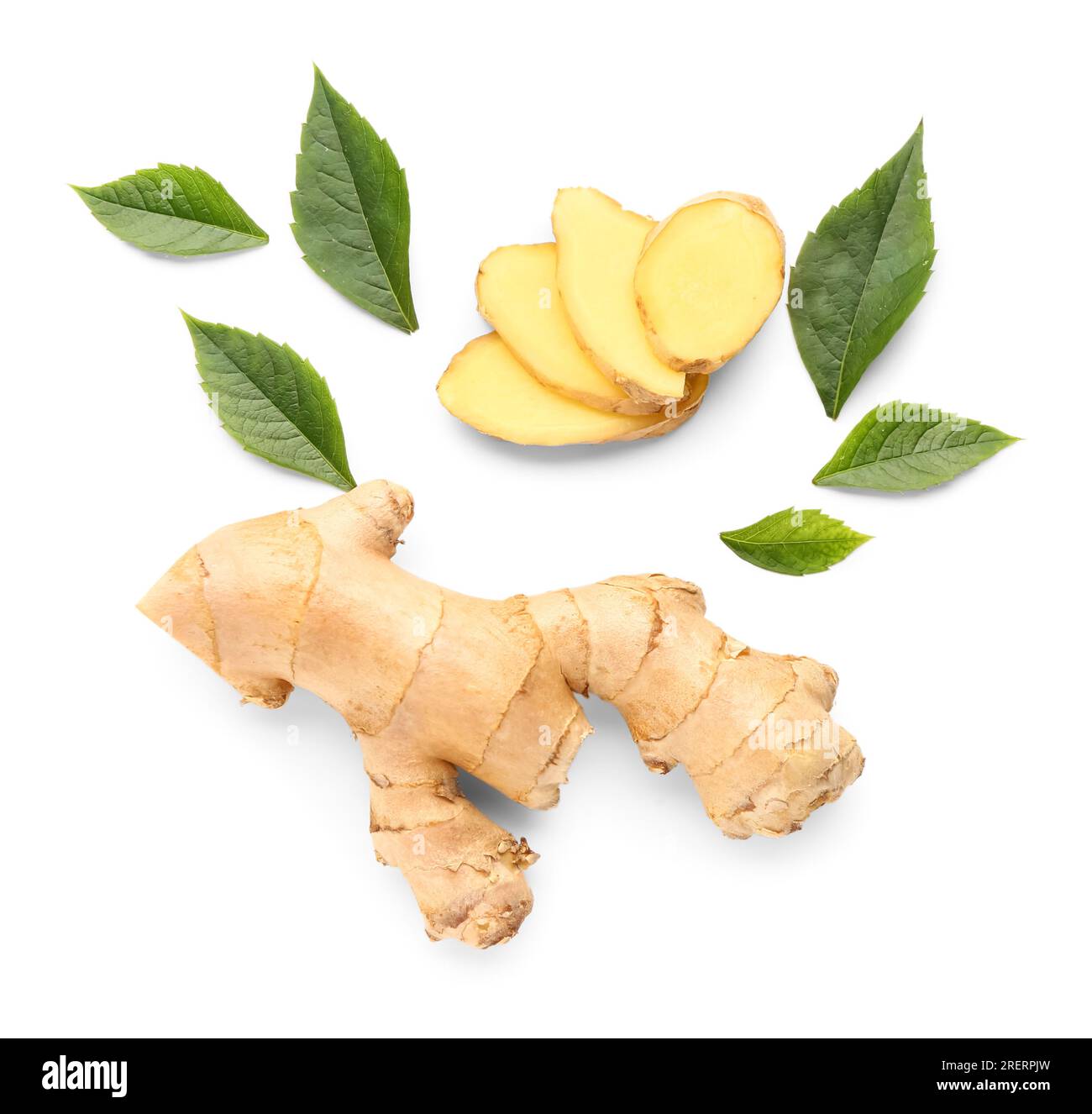 Fresh ginger root and leaves on white background Stock Photo - Alamy
