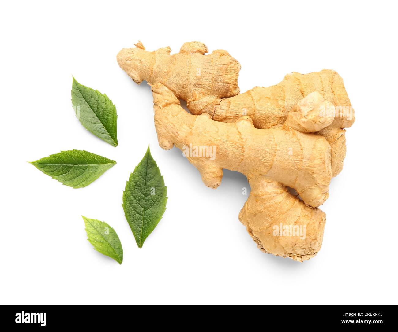 Fresh ginger root and leaves on white background Stock Photo - Alamy