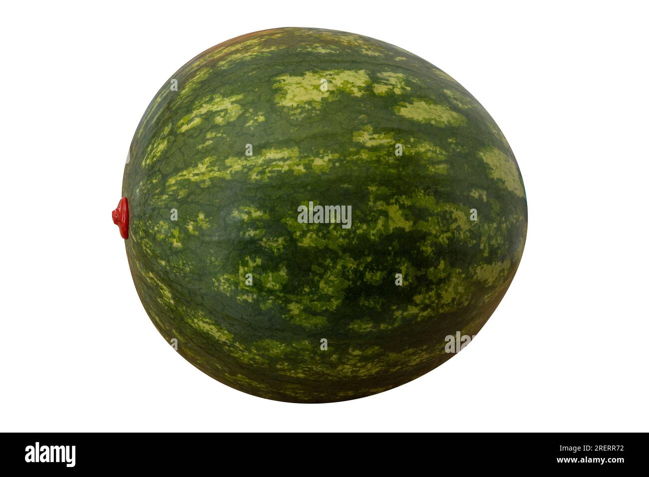 Single full watermelon isolated on white background Stock Photo - Alamy