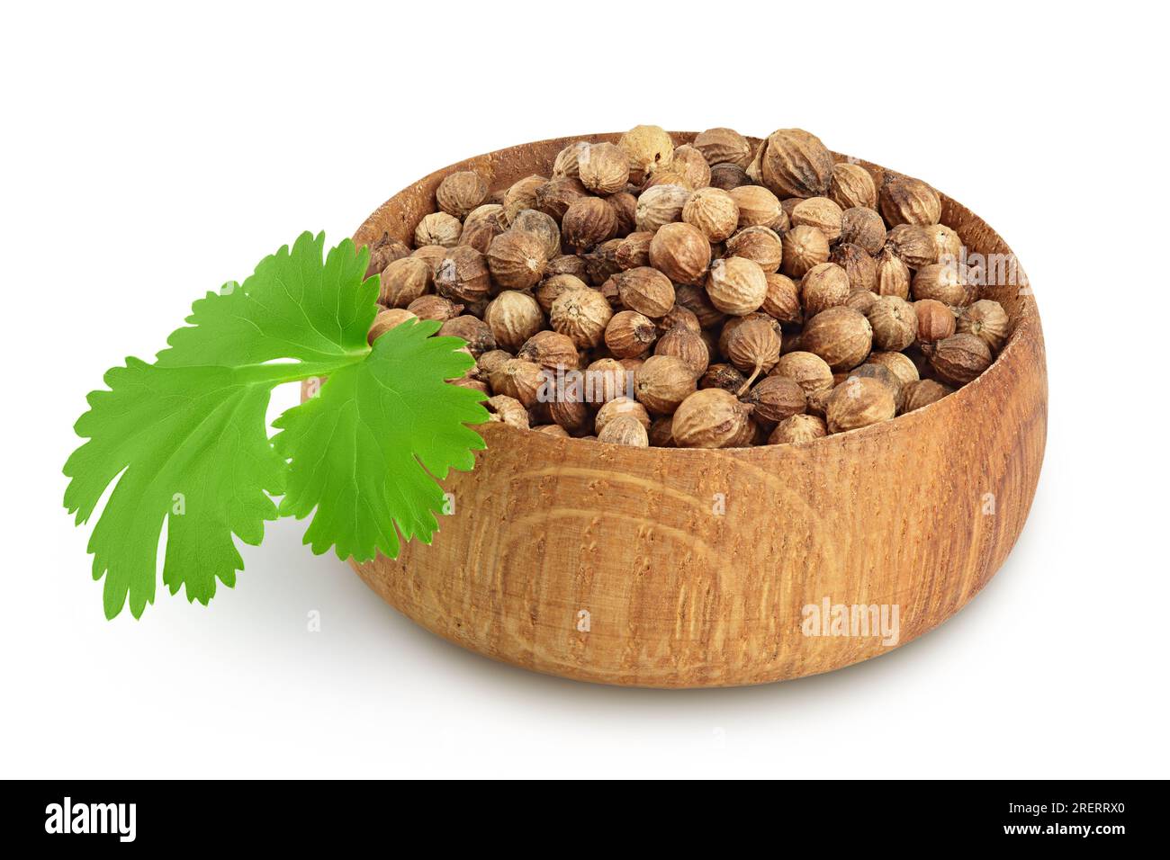Dried coriander seeds in the wooden bowl with fresh green leaf isolated on white background ...