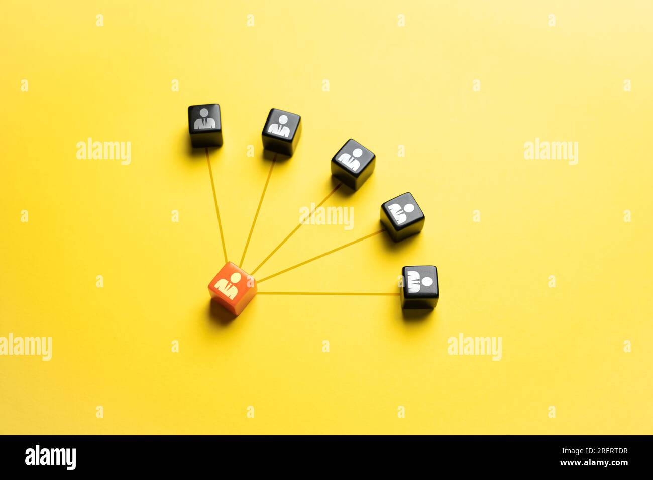 Manager and subordinates. Delegation of work, feedback. Distribution of ...