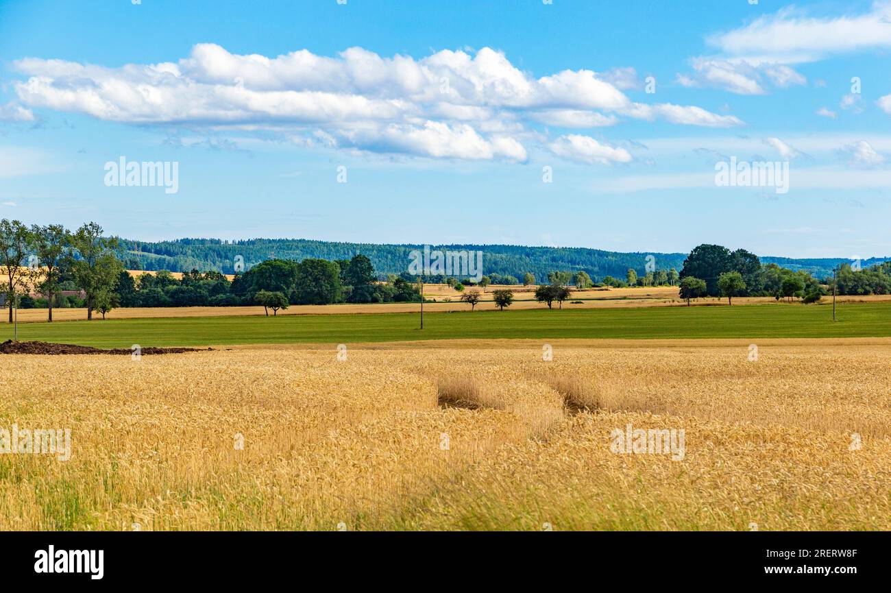 Summer rural landscape with fields and forests Stock Photo - Alamy