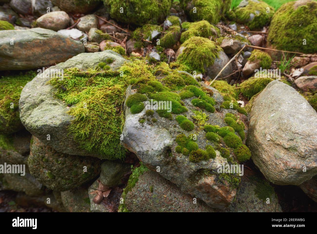 Denmark nature, countryside and environment. Nature in the Kingdom of ...