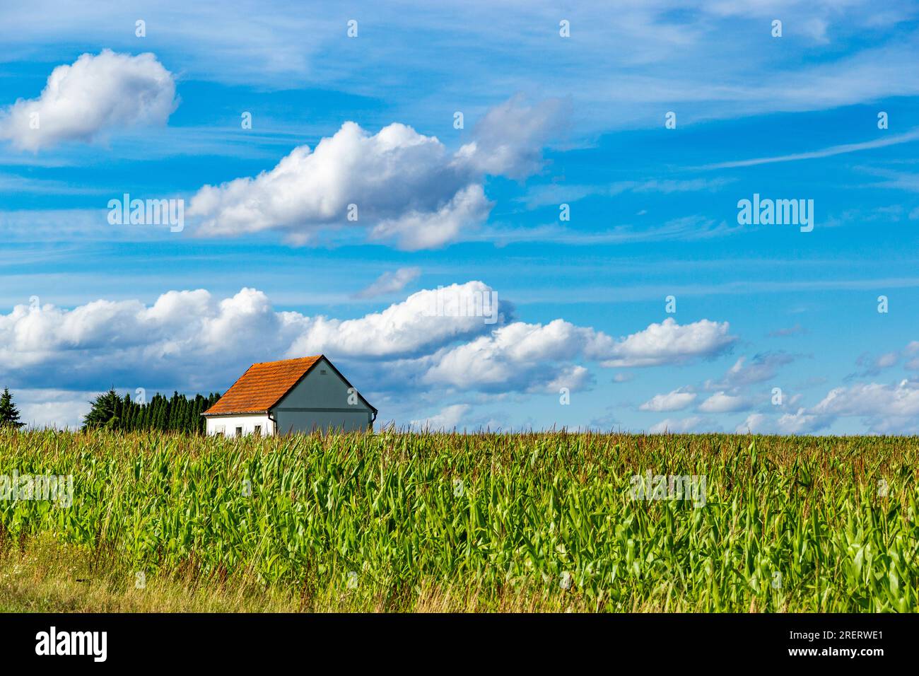 House and cornfield hi-res stock photography and images - Alamy