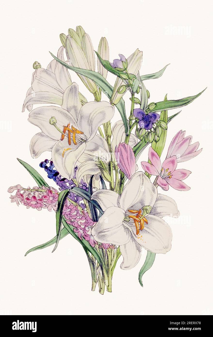 Exquisite vintage botanical bouquet showcasing diverse floral species ...