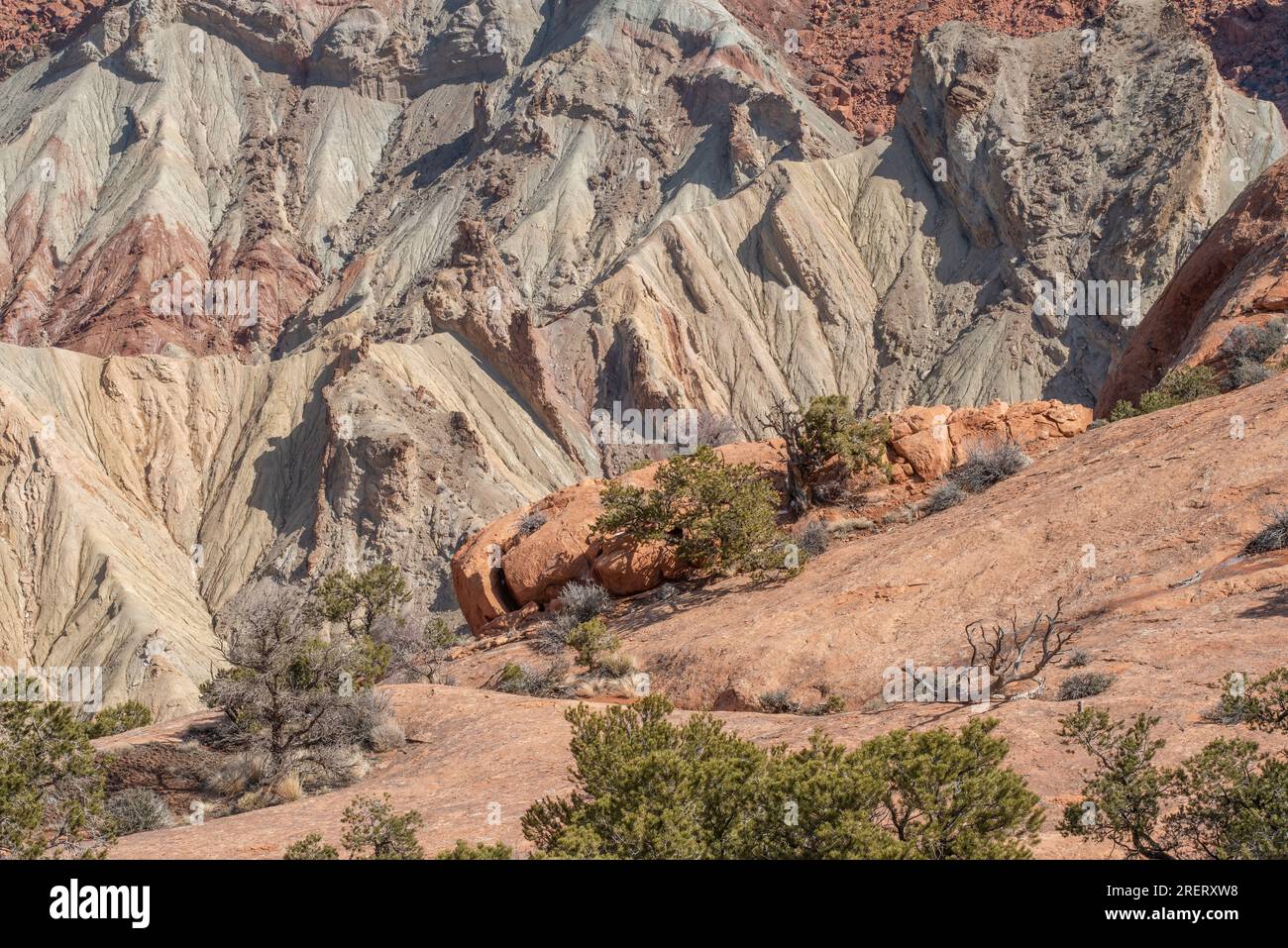 Upheaval Dome crater, Canyonlands National Park, Utah Stock Photo - Alamy