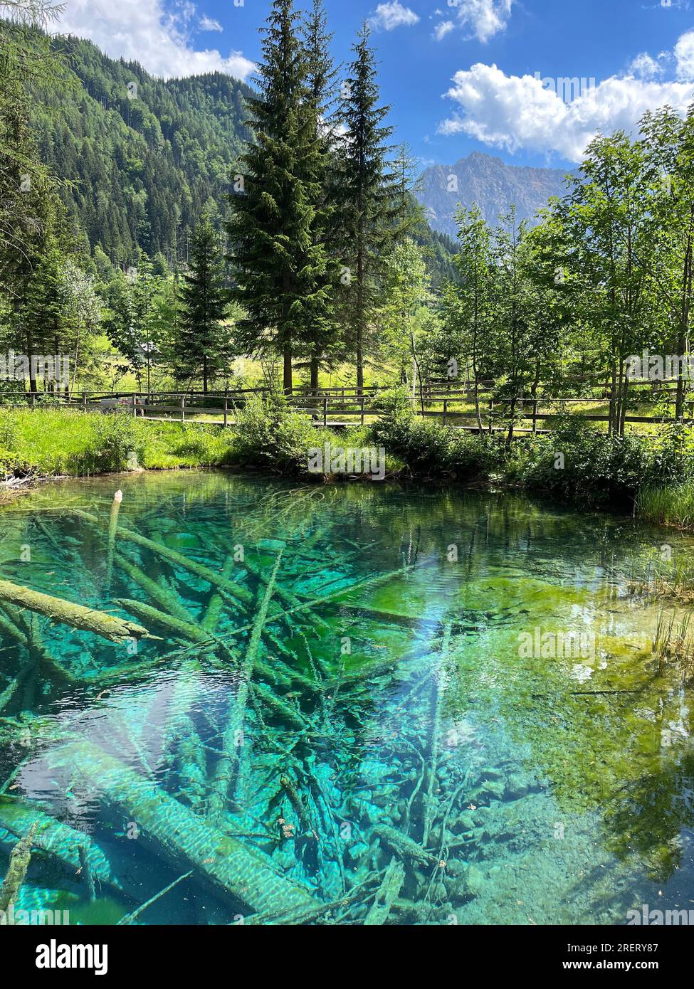 Crystal clear waters with submerged logs of Lake Meerauge surrounded by ...
