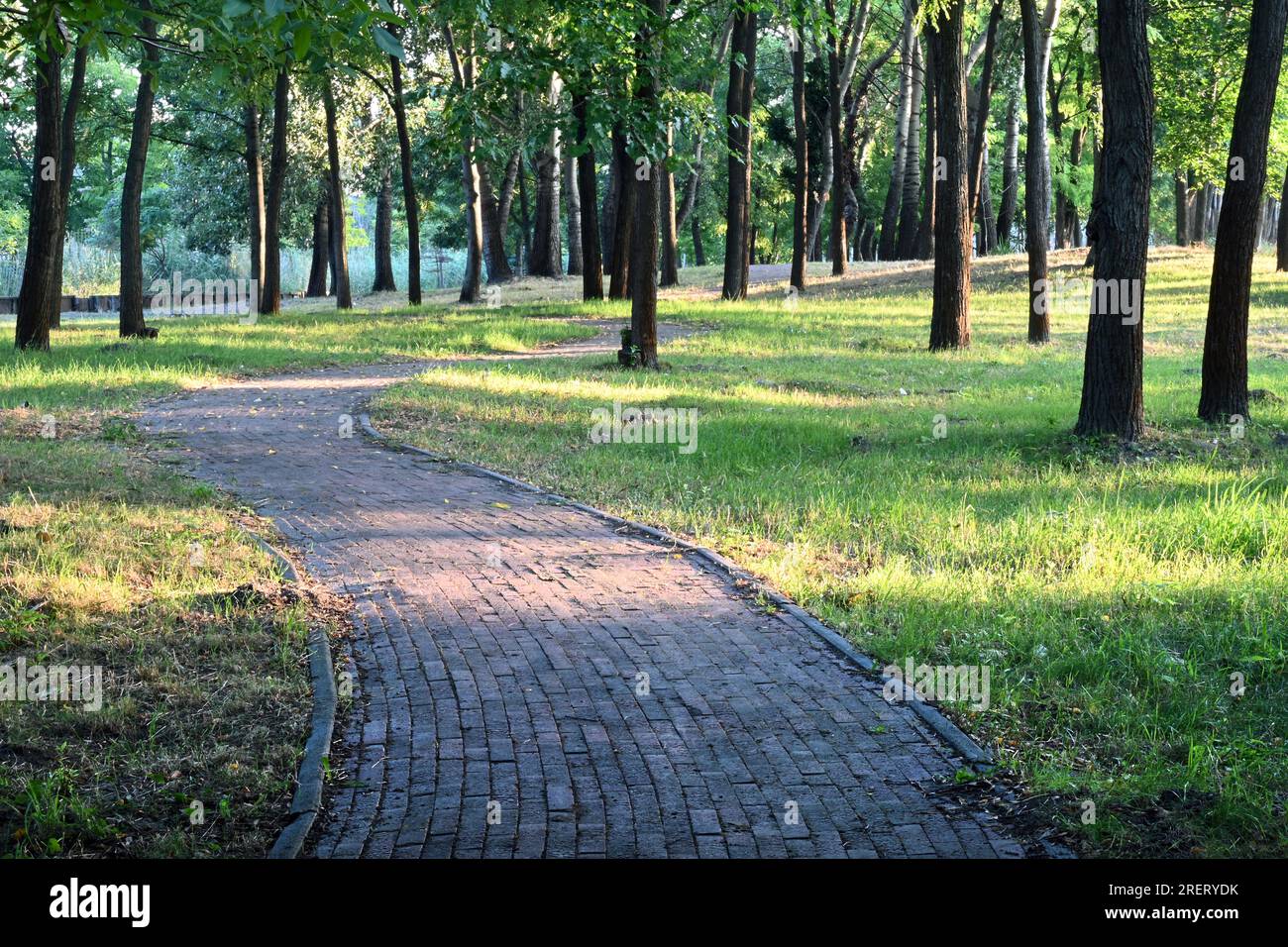 Old brick path through green copse with trees and sunlight in summer ...