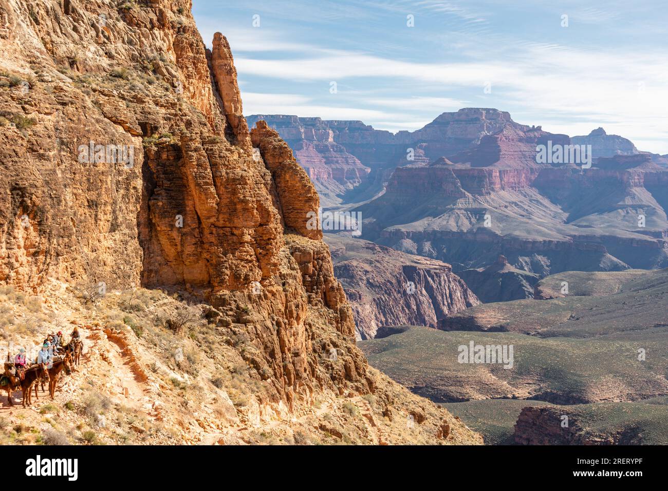 Mule train and hikers on the South Kaibab Trail, Grand Canyon Stock ...