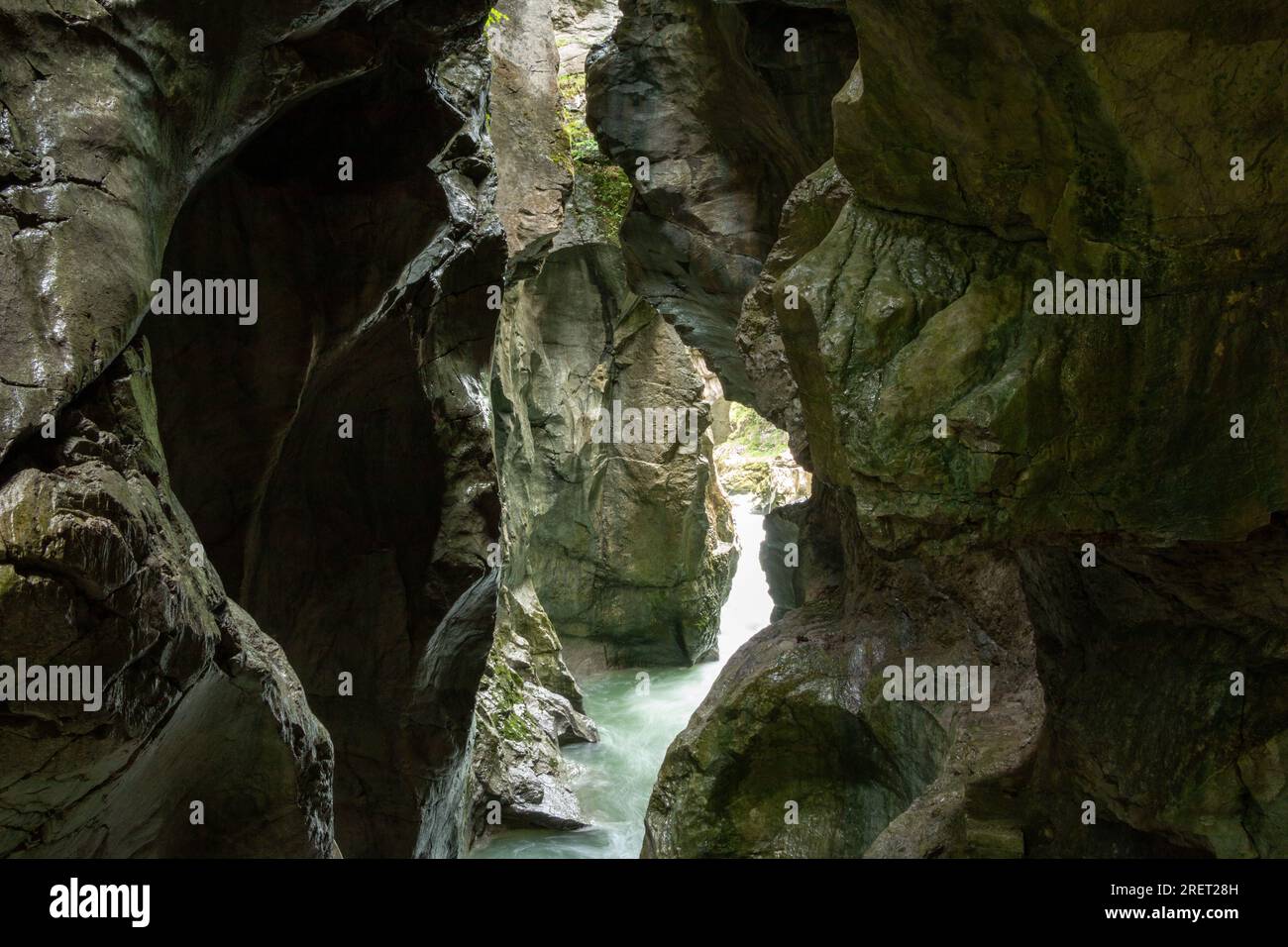 Wild water flowing in between narrow rocky cliffs inside Austria's ...