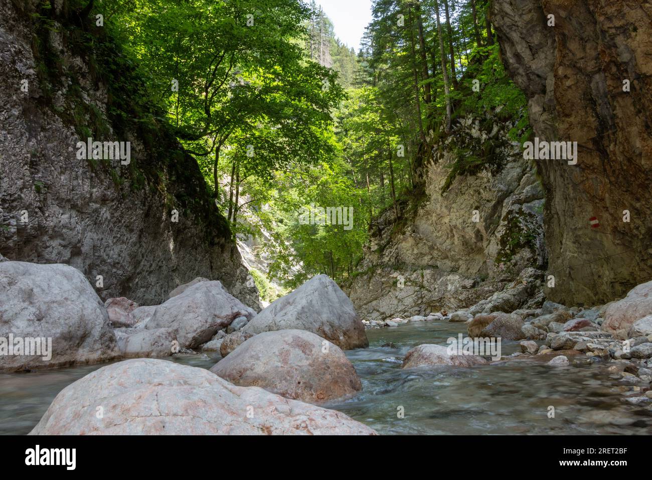 Rocky Garnitzenbach flowing through the Garnitzenklamm in the Austrian ...