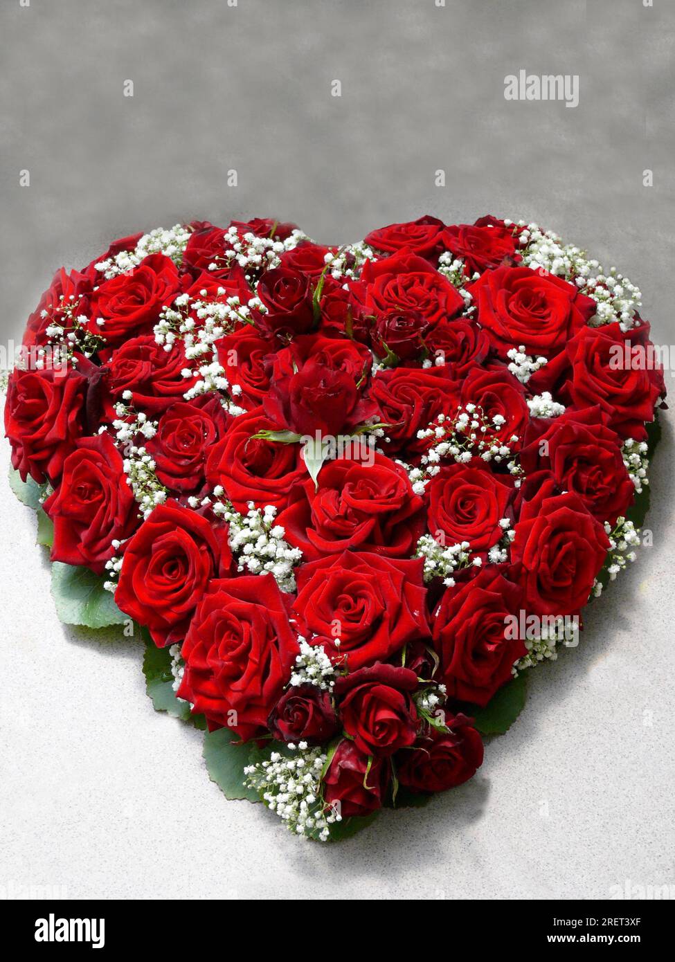 Heart of Roses, Rose Heart Stock Photo - Alamy