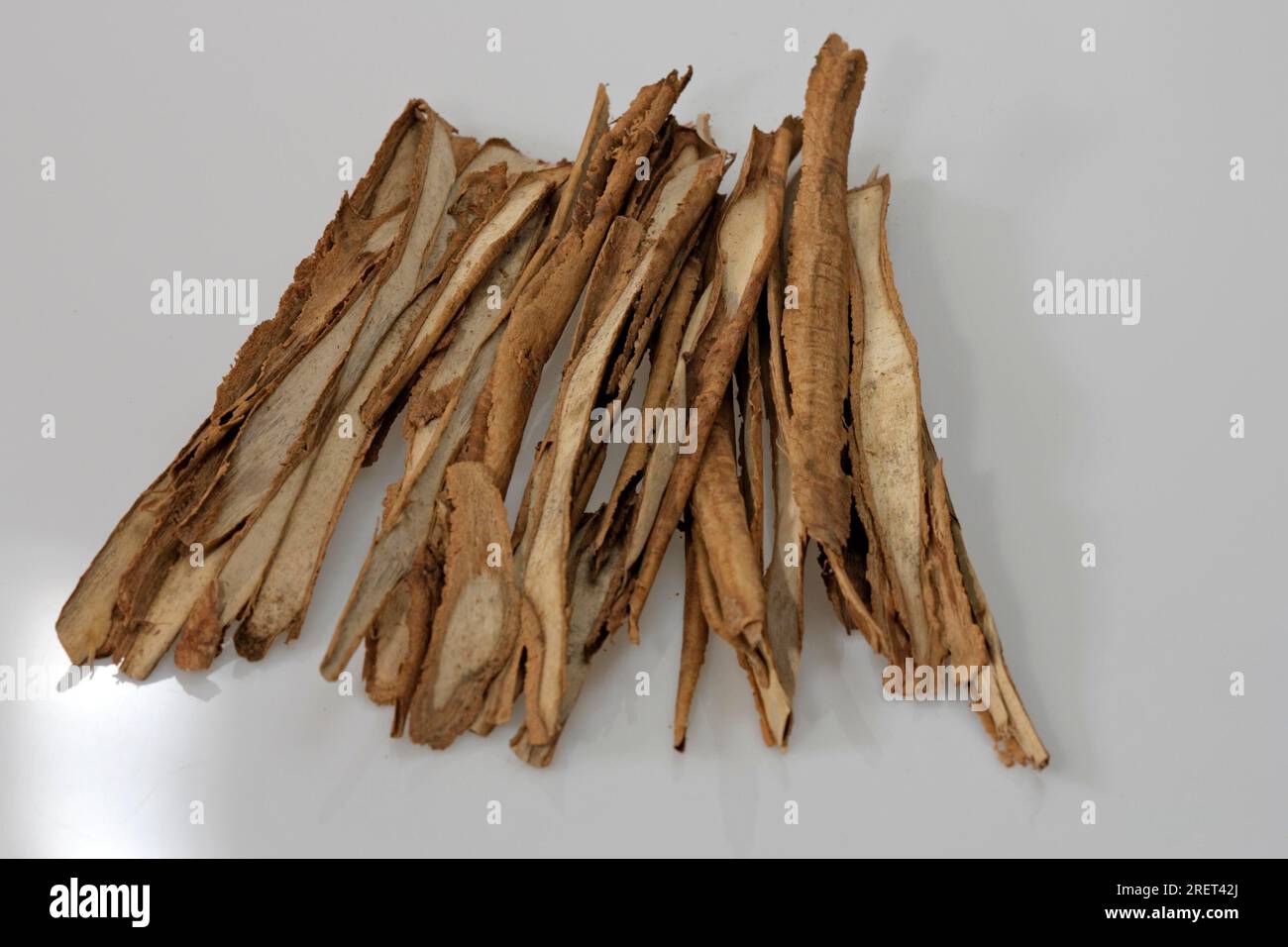 Cinnamon, Ceylon cinnamon Cinnamomum verum Bark bark Nosy Be Madagascar ...