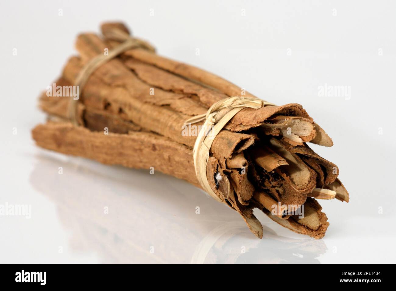 Cinnamon, Ceylon cinnamon Cinnamomum verum Bark bark Nosy Be Madagascar ...