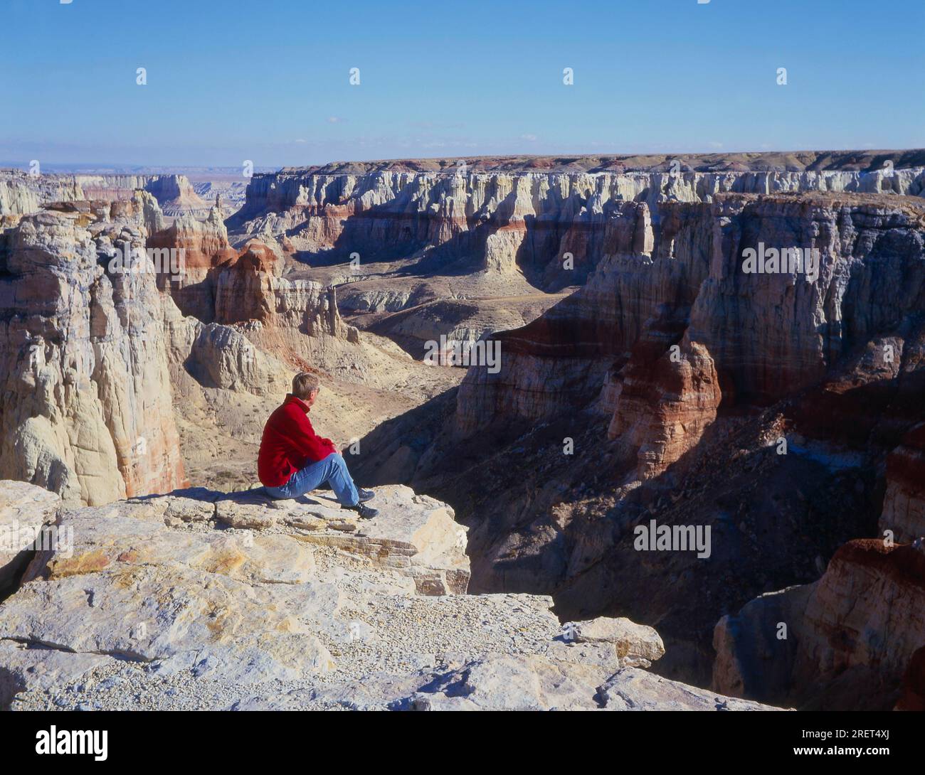 Lower Coal Mine Canyon, Hopi Reservation, near Tuba City, Arizona, USA ...