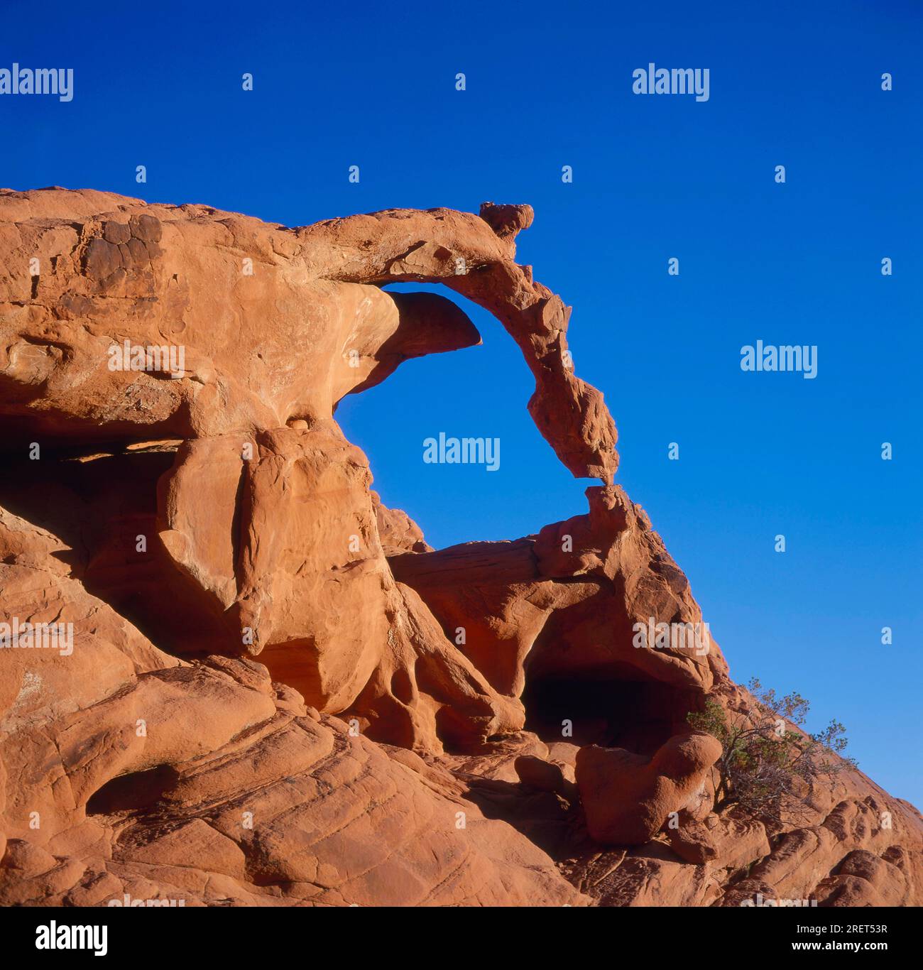 Ephemeral wonder hi-res stock photography and images - Alamy