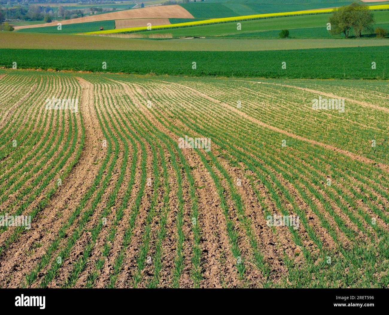 Field acre hi-res stock photography and images - Alamy