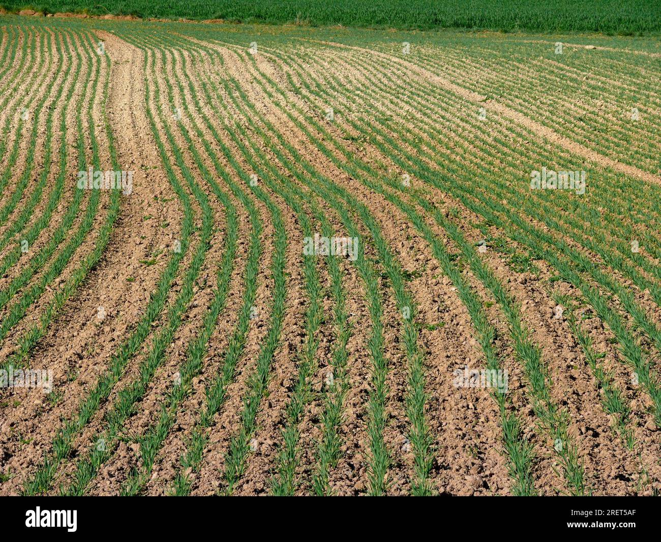 Field acre hi-res stock photography and images - Alamy