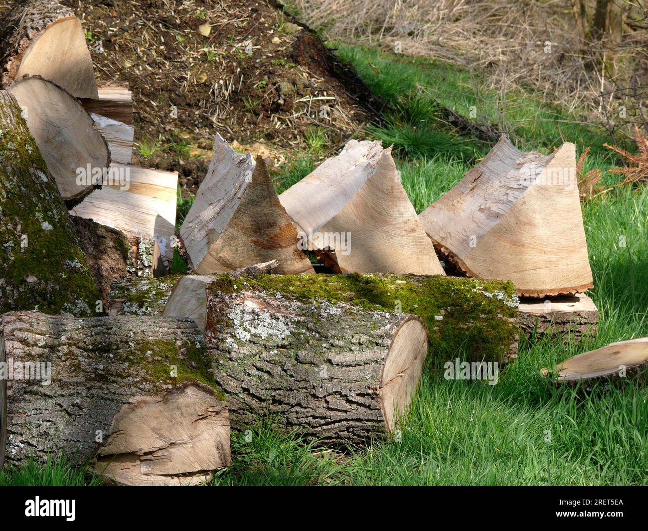 Firewood store, wood store Stock Photo - Alamy
