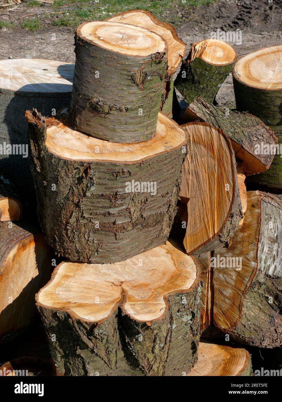 Unsplit hi-res stock photography and images - Alamy