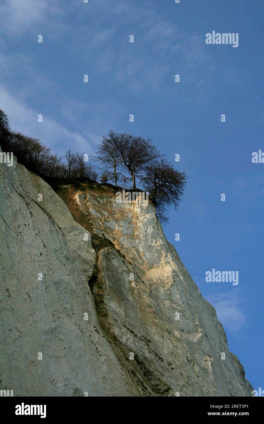 Mon, Mons Klint, Klint Holm Klinteskoven Denmark, Danmark, Denmark ...