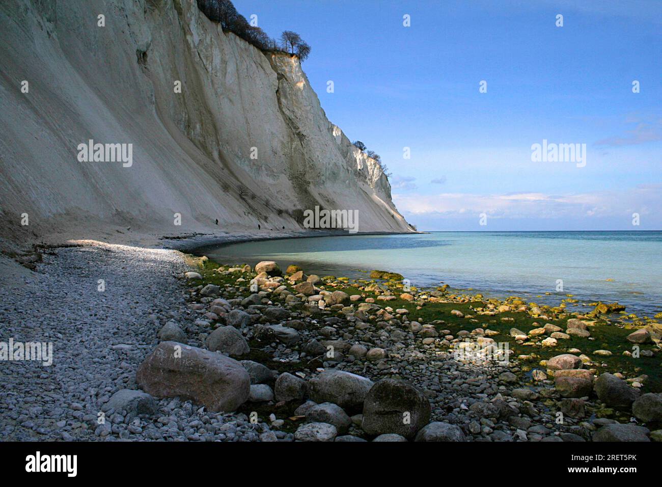 Mon, Mons Klint, Klint Holm Klinteskoven Denmark, Danmark, Denmark ...