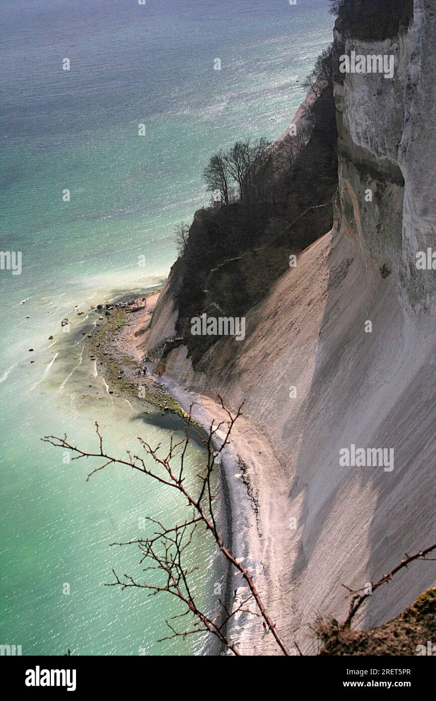 Mon, Mons Klint, Klint Holm Klinteskoven Denmark, Danmark, Denmark ...