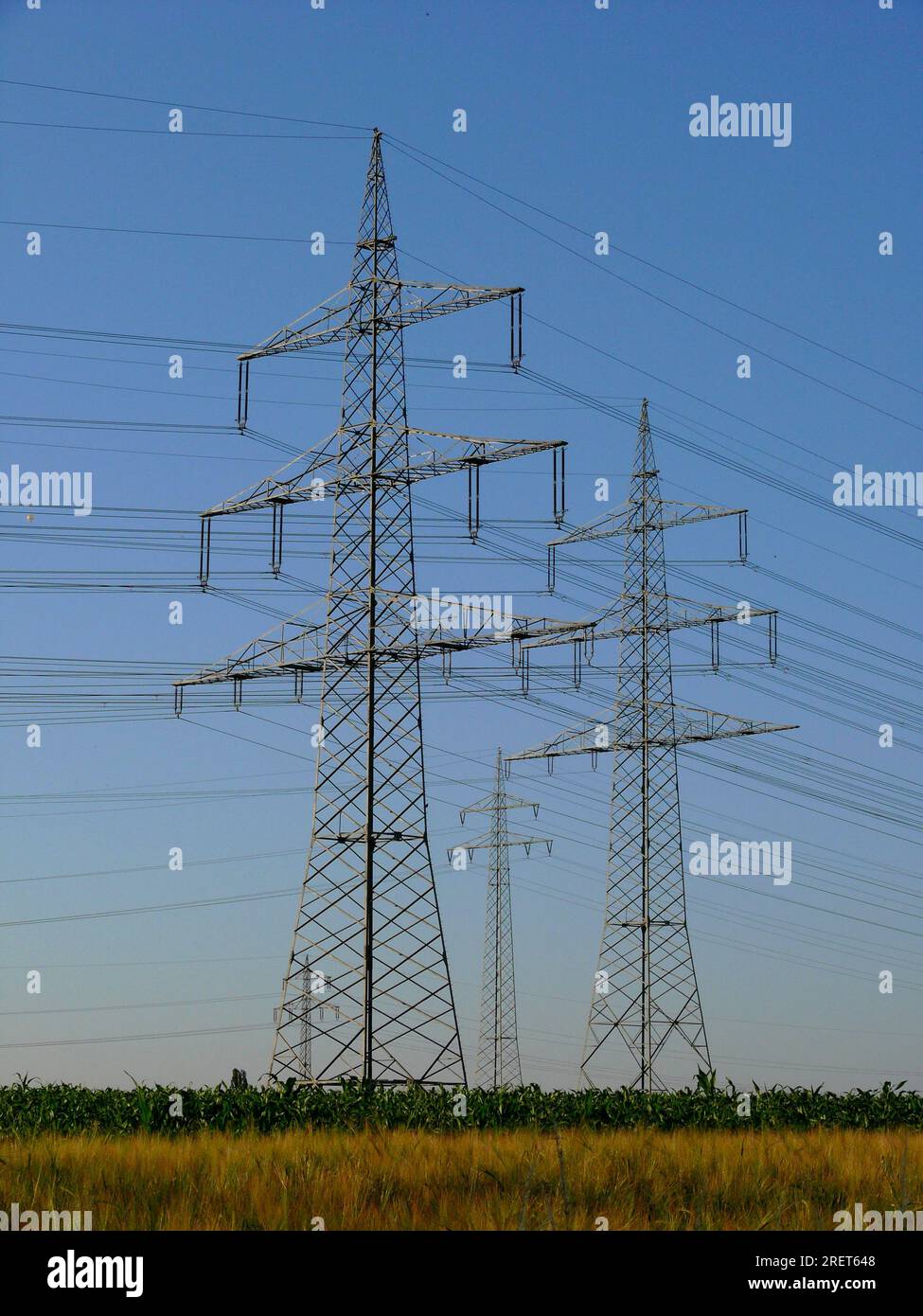 Power pylons, overhead lines, power supply Stock Photo - Alamy