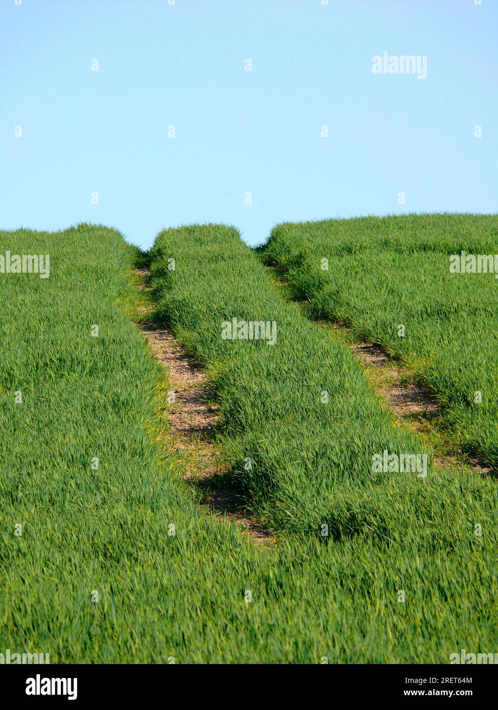 Field path, wagon tracks, tractor track Stock Photo - Alamy