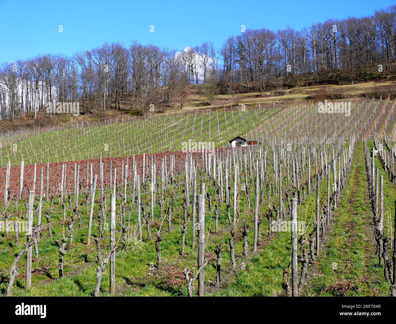 Karl wilhelm diefenbach hi-res stock photography and images - Alamy