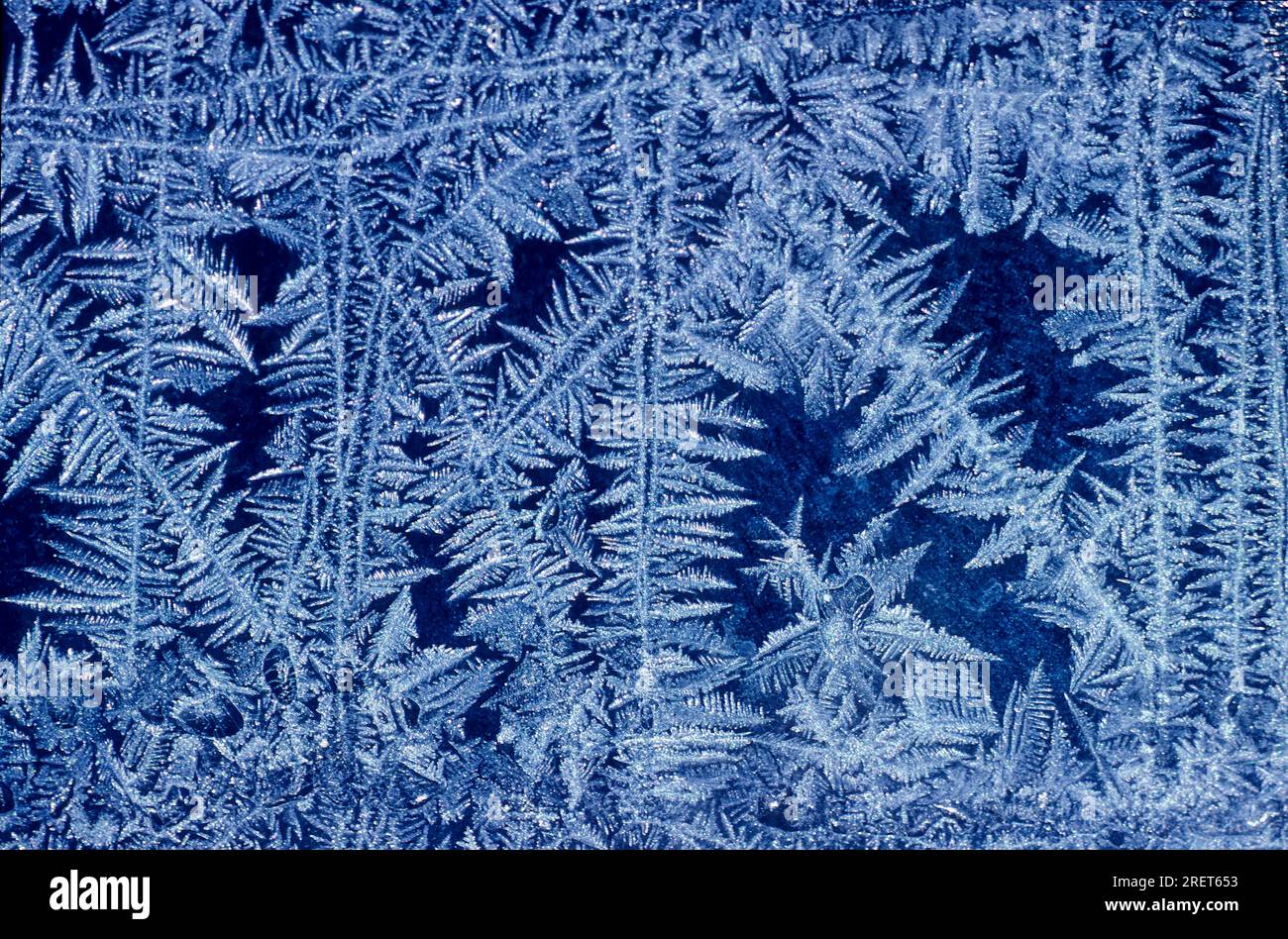 Ice flowers, ice formation, ice formations Stock Photo - Alamy