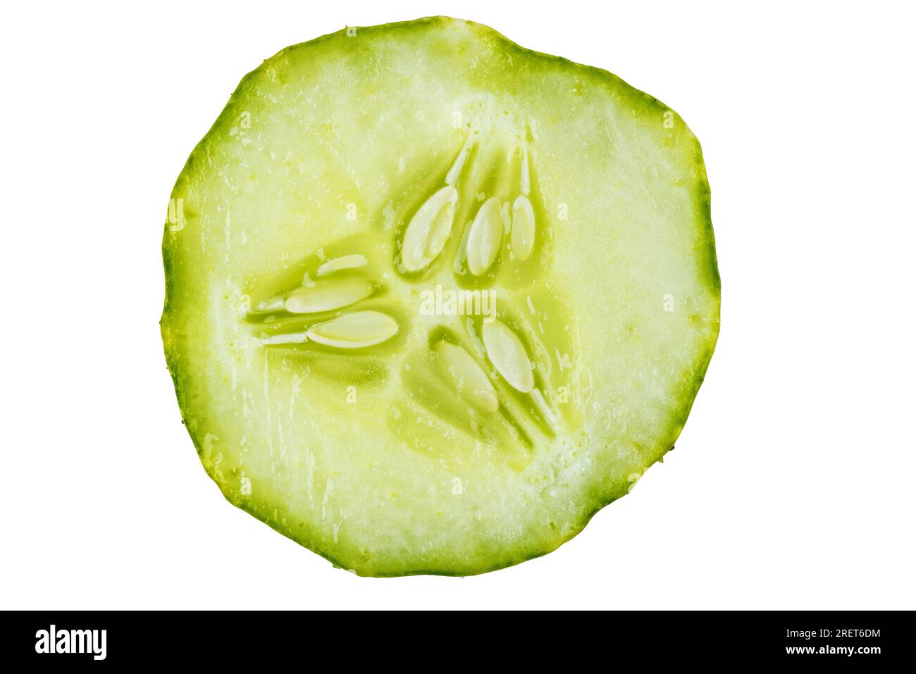 Close-up of a cucumber (Cucumis sativus) slice, on white Stock Photo ...