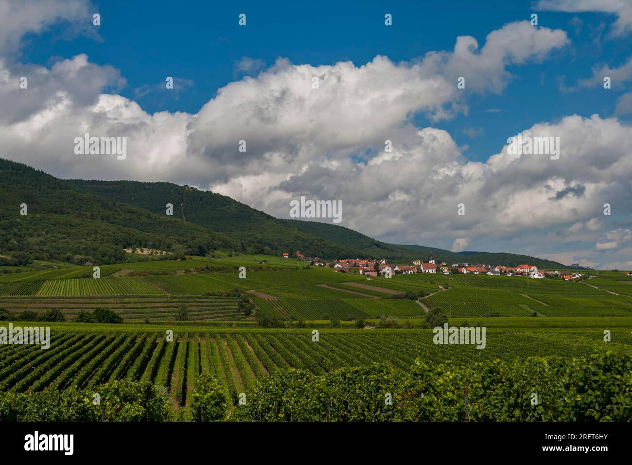 On the German Wine Route Stock Photo - Alamy