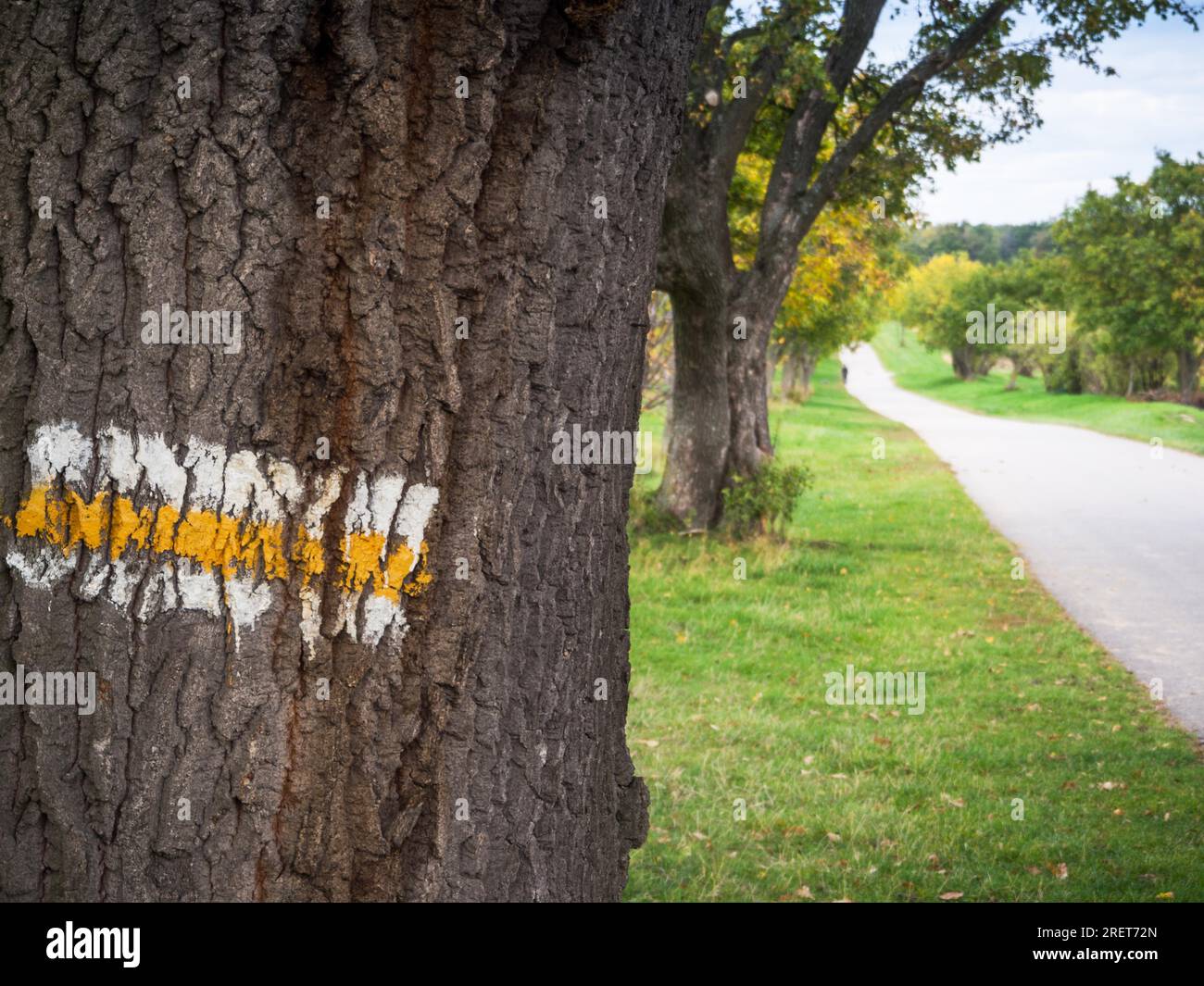 Mark trail hi-res stock photography and images - Alamy