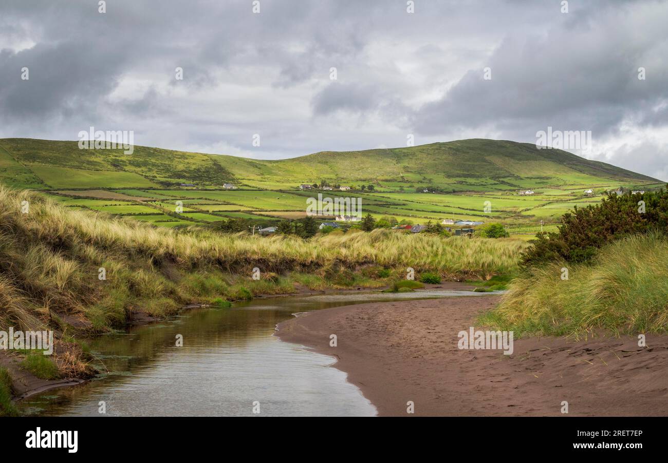Irish landscape near ventry beach Dingle Peninsula Stock Photo - Alamy