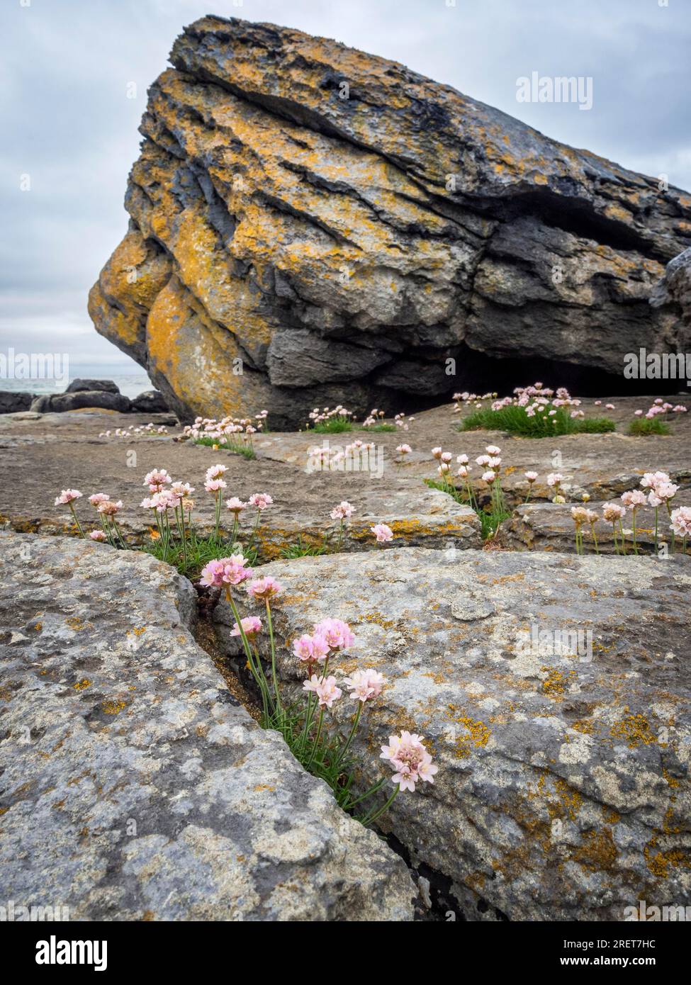 Massive cliff face hi-res stock photography and images - Alamy