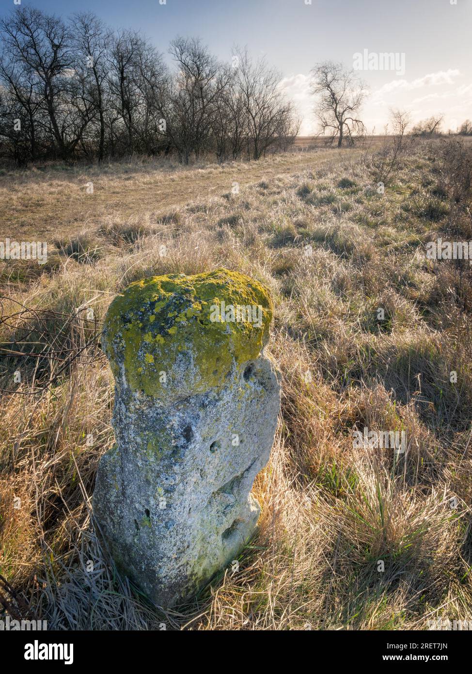 Landmark stone in the grass at lake neusiedl in burgenland Stock Photo ...