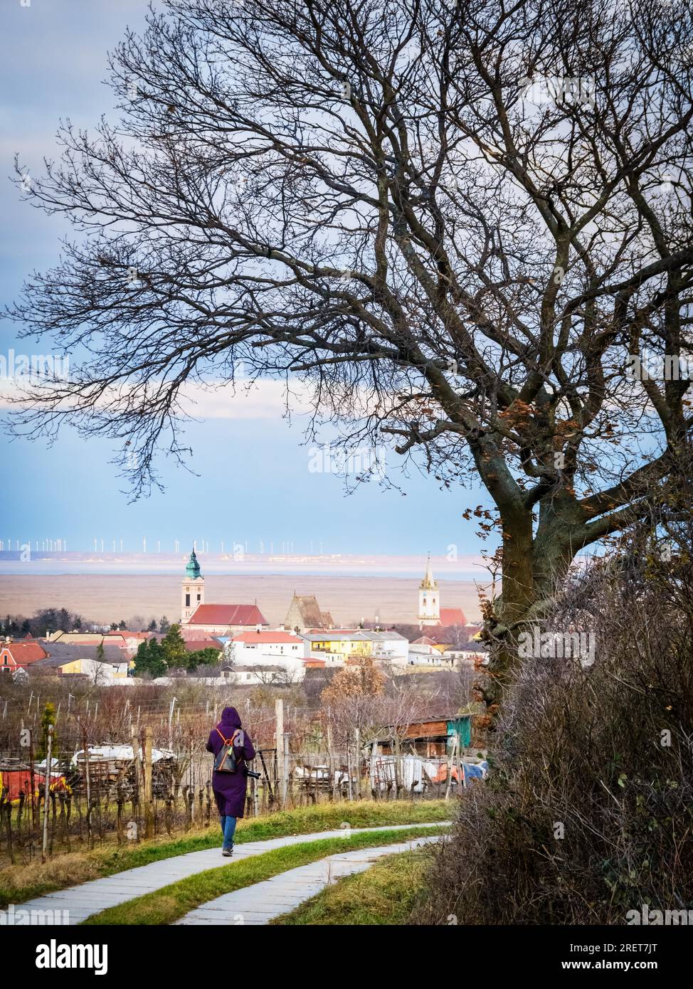 View of City of Rust in Burgenland with lake Neusiedl and wind turbines ...