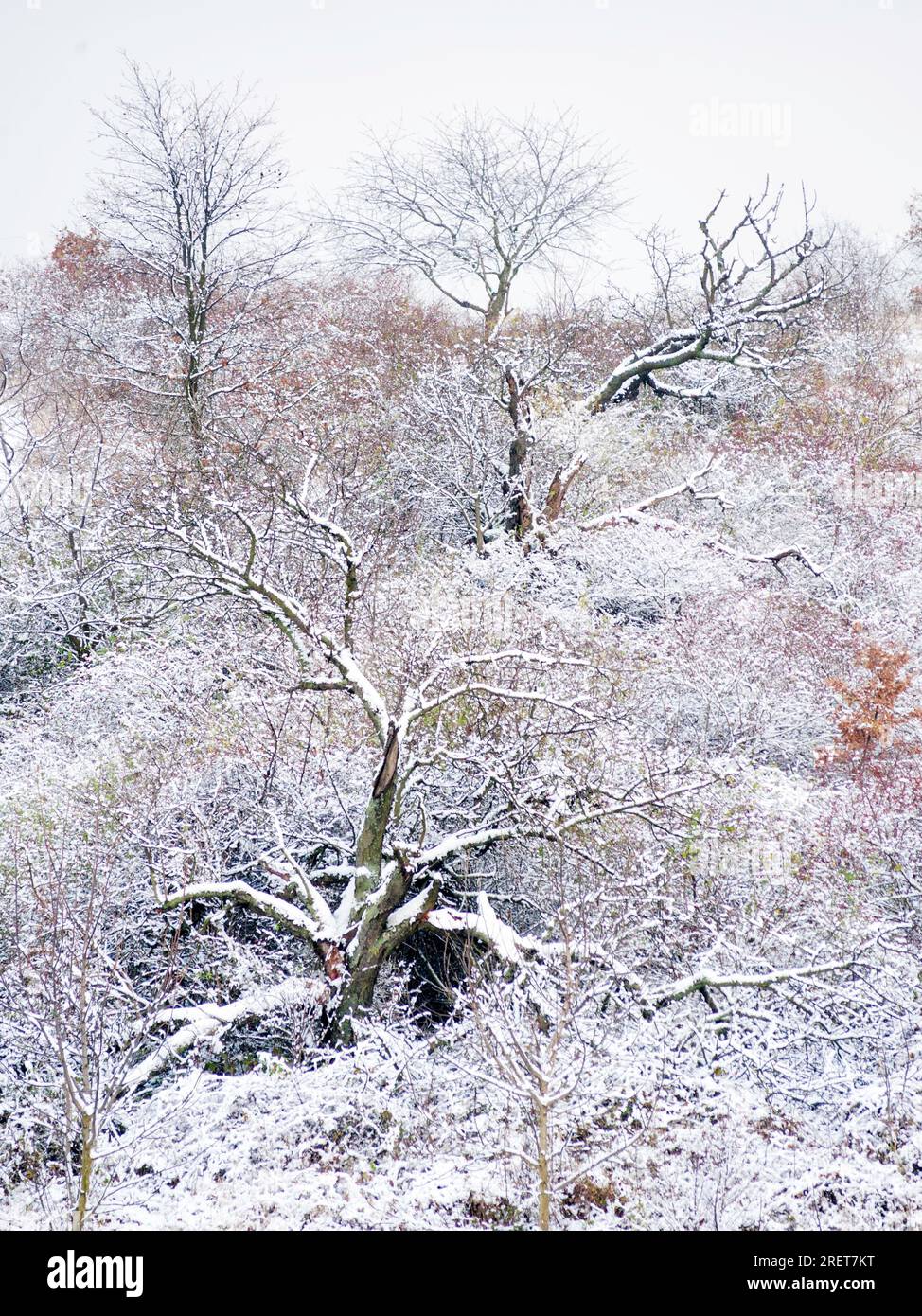 Withered farmland hi-res stock photography and images - Alamy