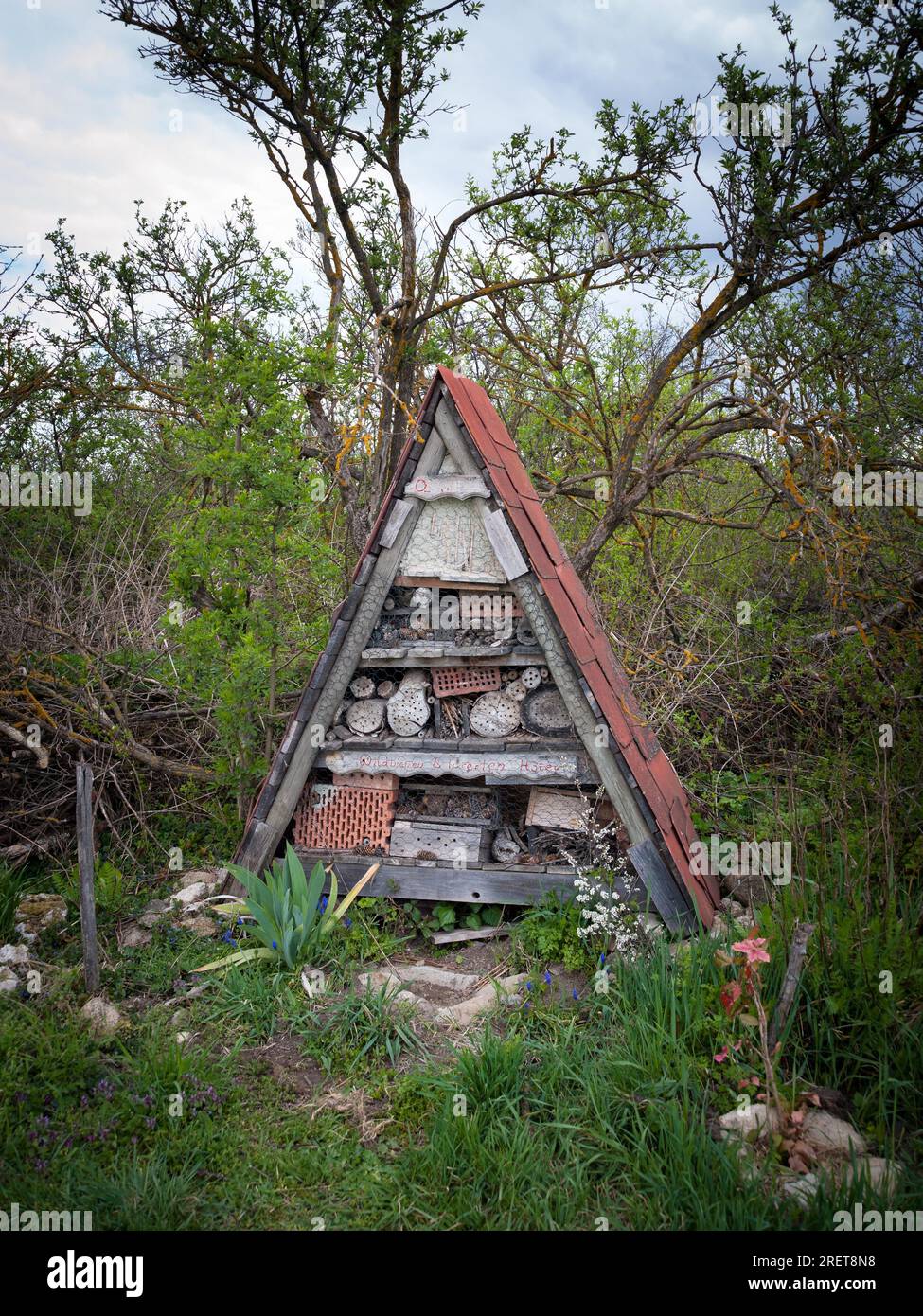 Triangular shape butterfly hi-res stock photography and images - Alamy