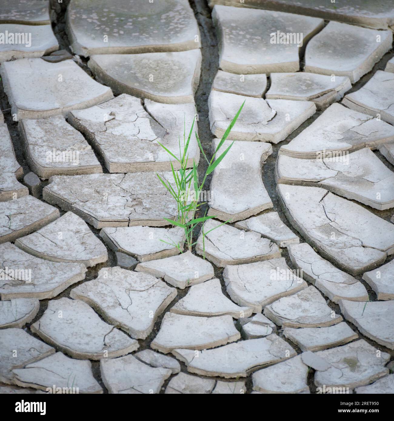 Texture of dry cracked soil Stock Photo - Alamy