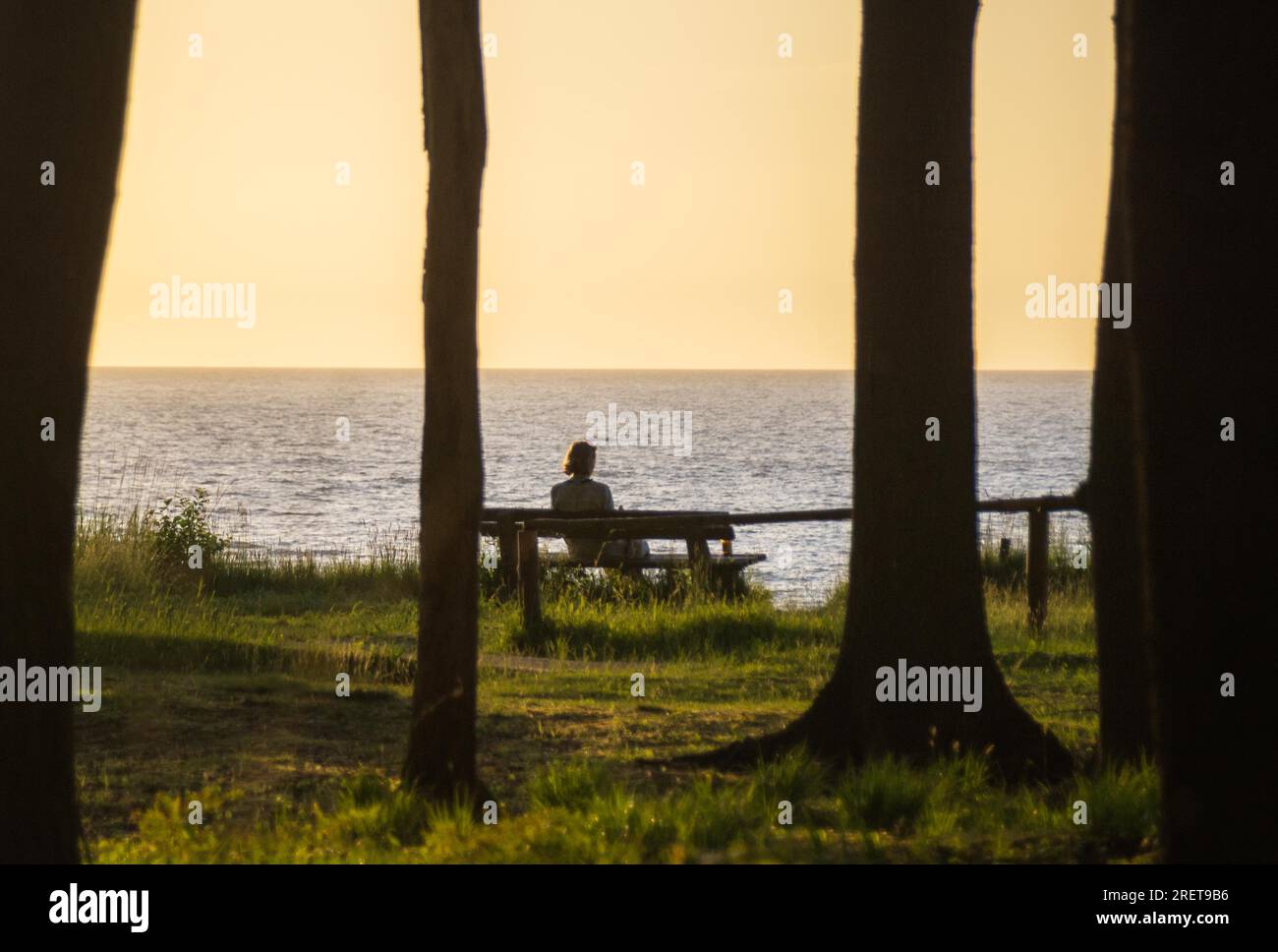 Sea with forest hi-res stock photography and images - Alamy