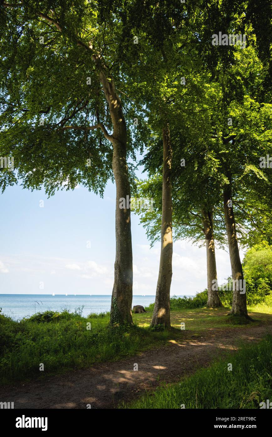 Seashore trail hi-res stock photography and images - Alamy