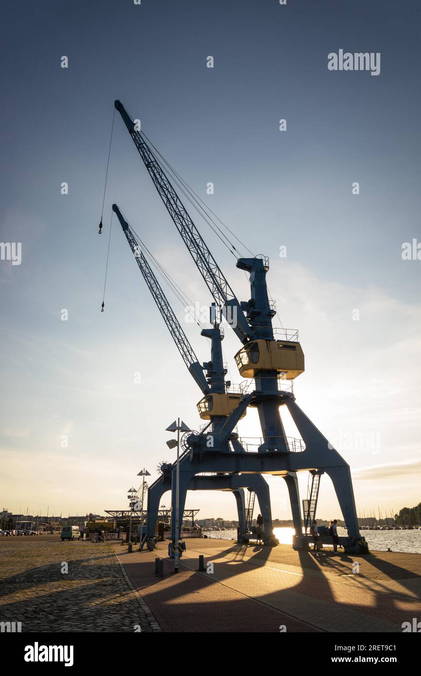 Most beautiful crane hi-res stock photography and images - Alamy